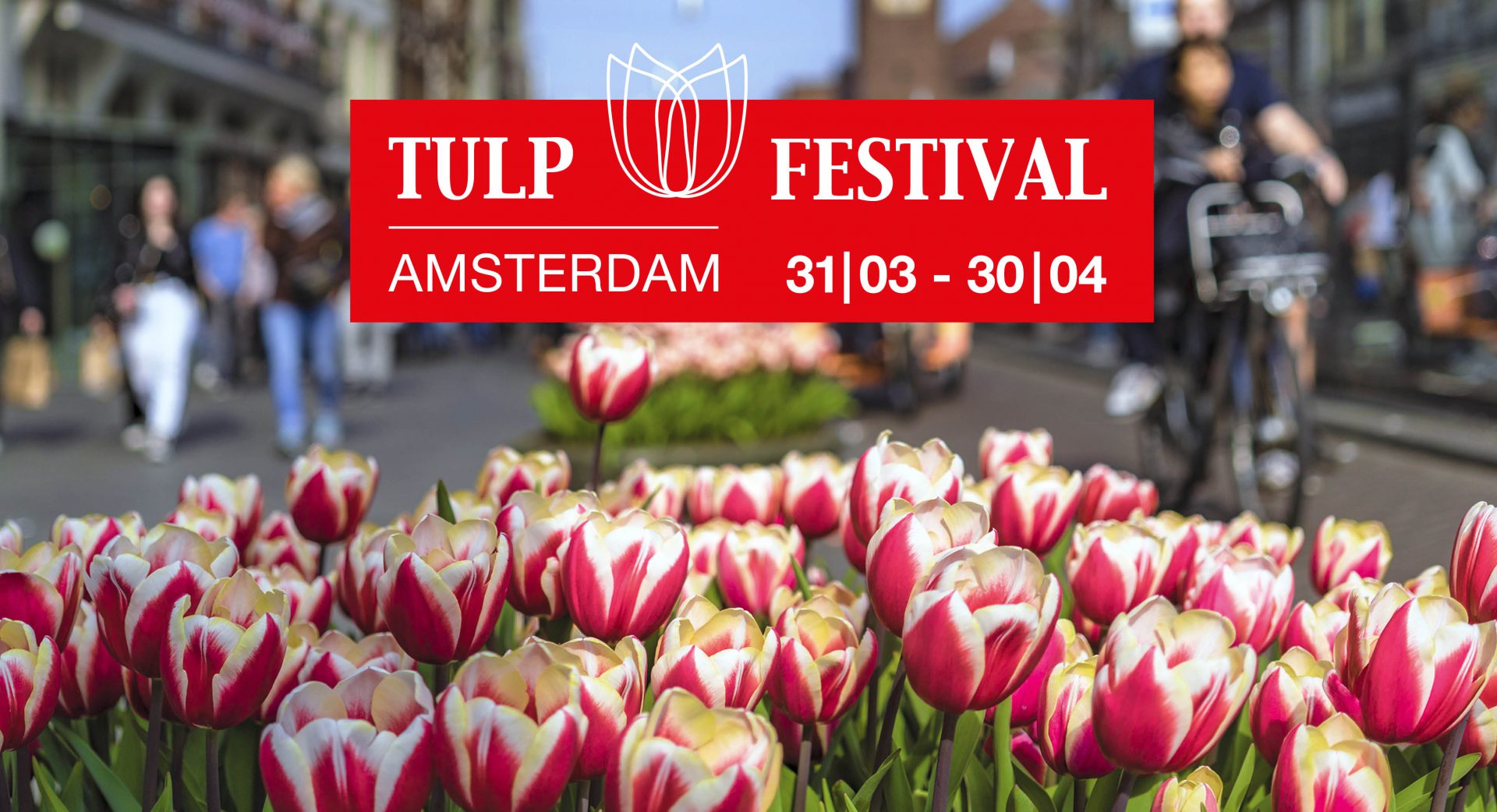 Nieuws - Tulpfestival
