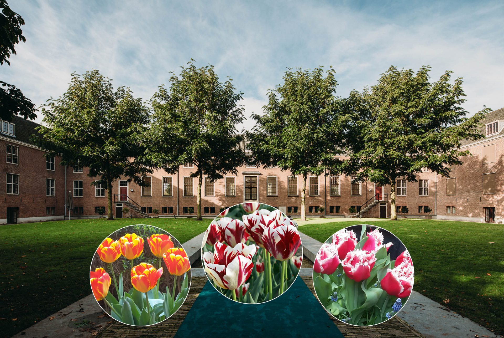 Nieuws - Tulpfestival